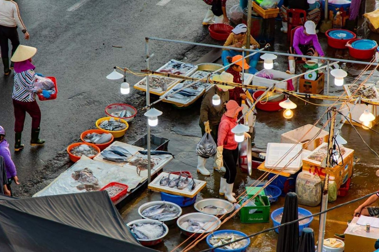 Chợ cá Thanh Hà: Đánh thức Hội An bằng nhịp sống rộn ràng lúc rạng đông